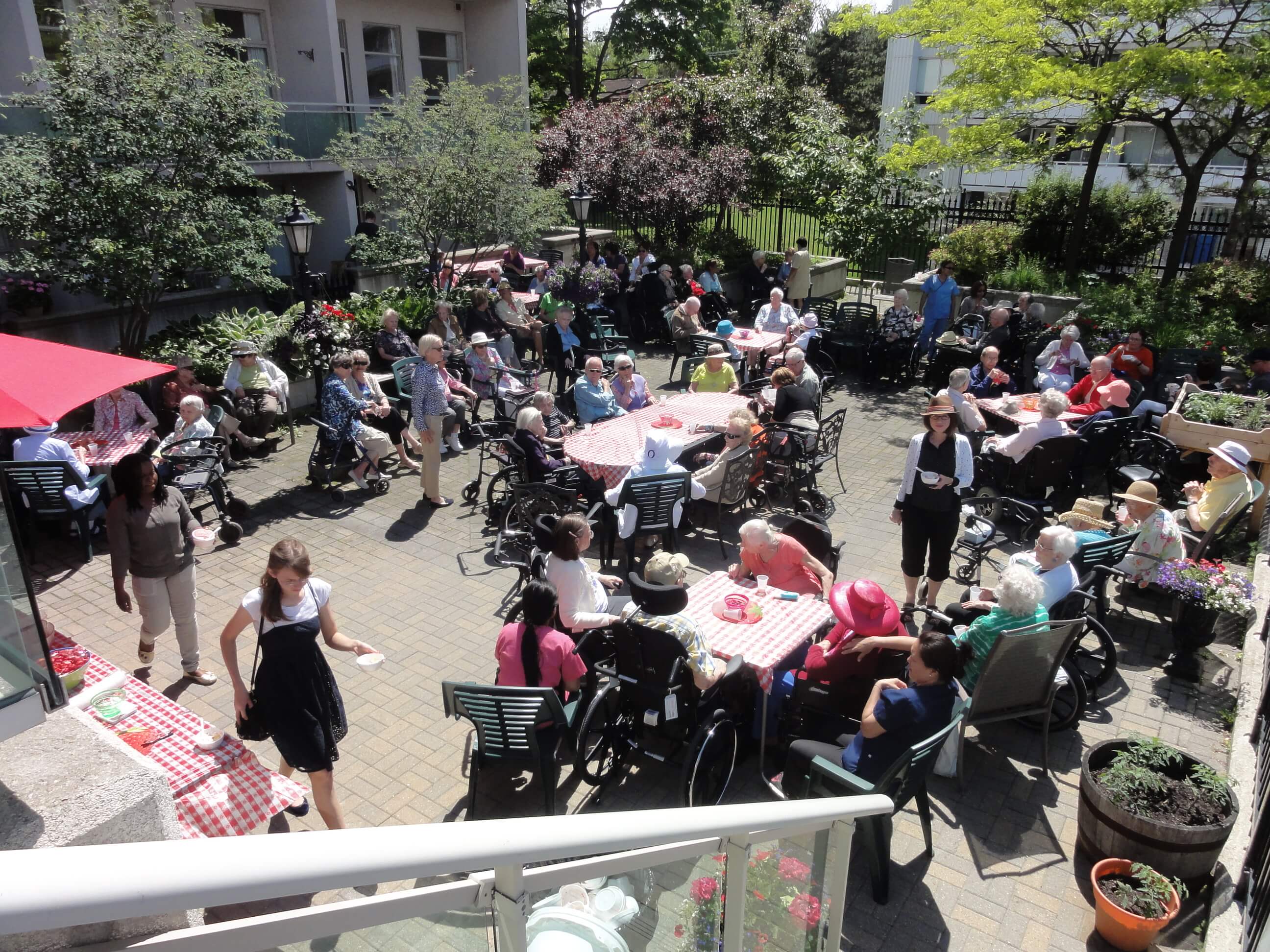 Strawberry Social | The Briton House